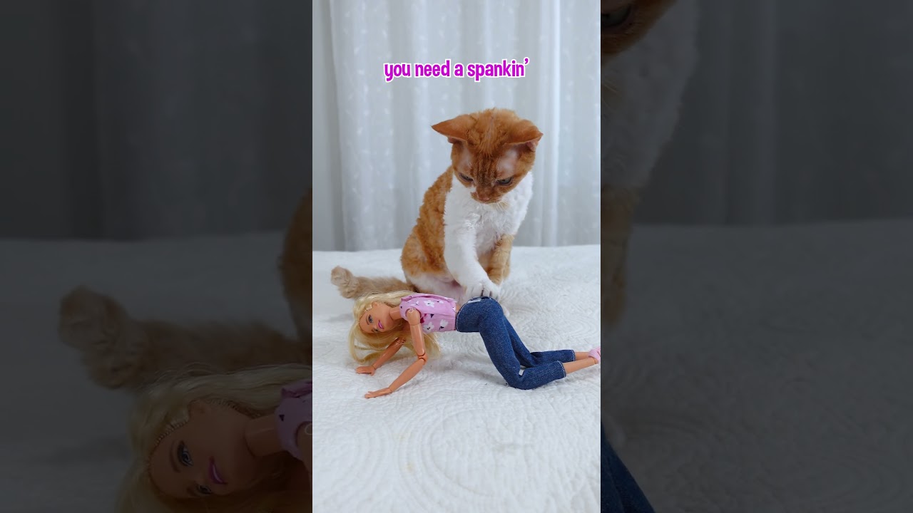 Cat Disciplines Action Barbie #shorts