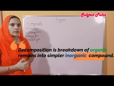 Decomposition : Definition, Process, Factors effecting decomposition