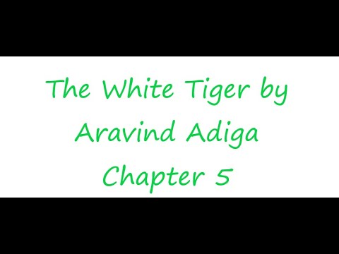 The White Tiger by Aravind Adiga: Chapter 5