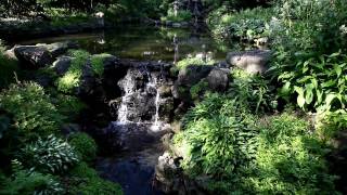 3 Best Public Parks in Toronto, ON - Expert Recommendations