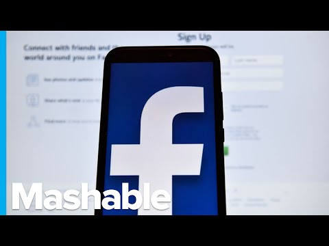 Facebook under Scrutiny for Allowing Dog Fighting Content on Platform, According to Report