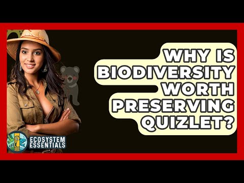 Why Is Biodiversity Worth Preserving Quizlet? - Ecosystem Essentials
