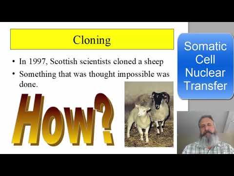 What is Cloning?