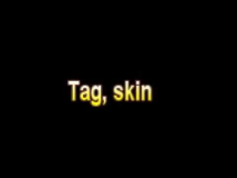 What Is The Definition Of Tag, skin