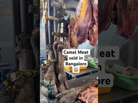 Camel meat at Shivajinagar Bengaluru. #butcher #halal #meat #fat #foodmela #trending #subscribe