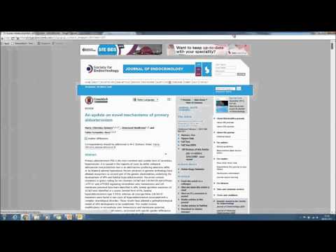 Pembelajaran berbasis jurnal