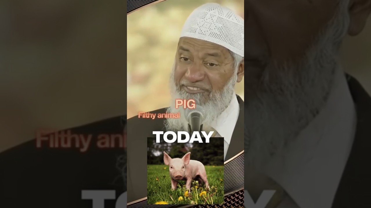 #allah #quran #animals #food #science #sunnah #islam #muslim #islamic #shorts #islamicvideo #today