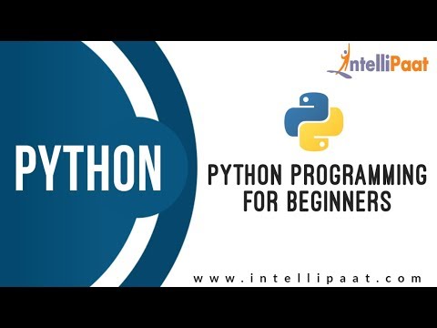 Type Conversion in Python-Intellipaat