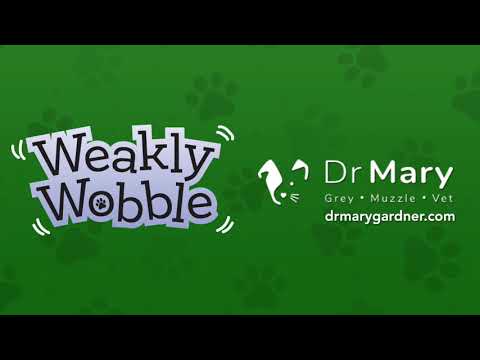 Quick Tips for Pet with Cognitive Dysfunction with Dr. Mary Gardner