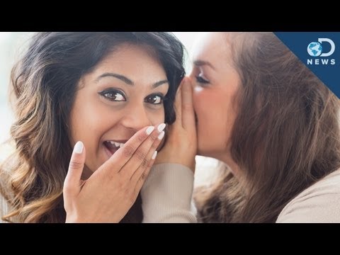 The Science Of Gossip and Rumors