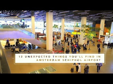12 Unexpected Things To Do In Amsterdam Schiphol Airport!