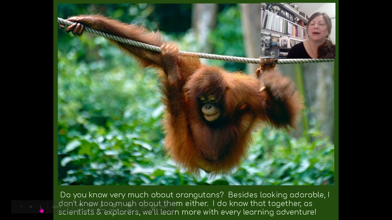 Science Unit 4: Lesson 1 Introduction