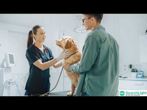 Effects Of Xylitol Poisoning In Dogs