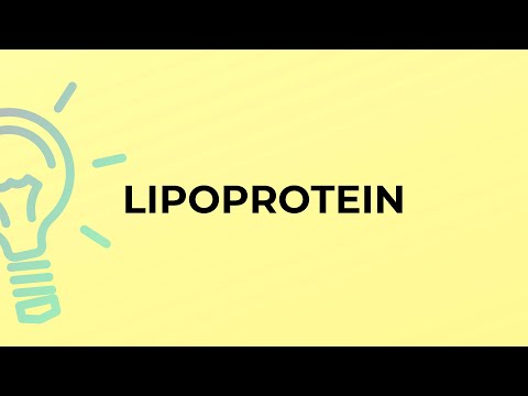 What is the meaning of the word LIPOPROTEIN?