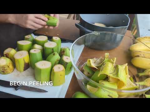 Processing Cooking Bananas | Tropical Self Sufficiency