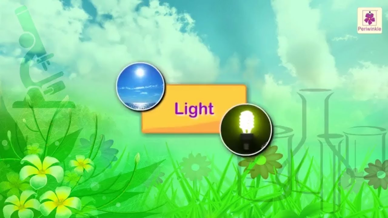 Light | Science Grade 3 | Periwinkle