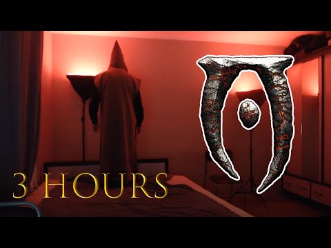 Oblivion NPC life-cycle hidden cam. 3 hours.