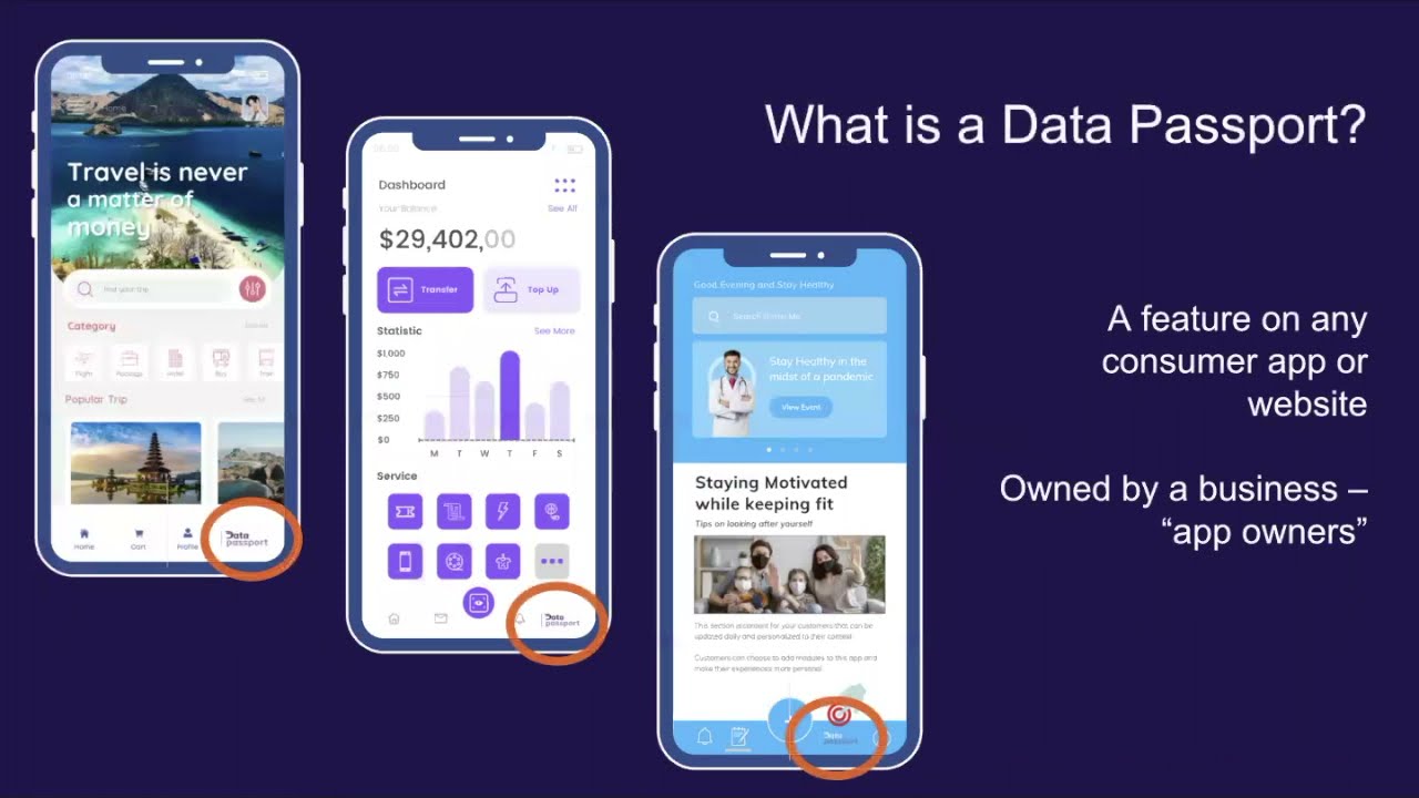 What is a Data Passport?