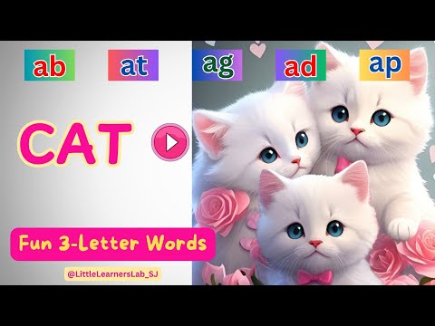Fun 3-Letter Words for Kids π Letβs Learn in Style! π