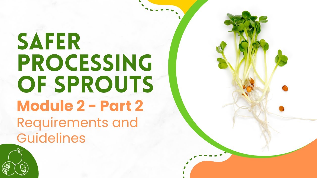 Sprouts: Module 2 | Requirements and Guidelines | Part 2