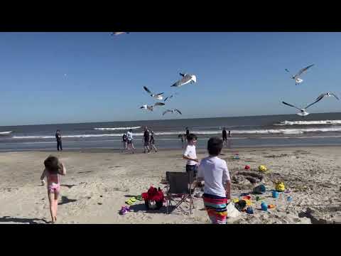 Spring Break Galveston 2022 – Radical Dadding