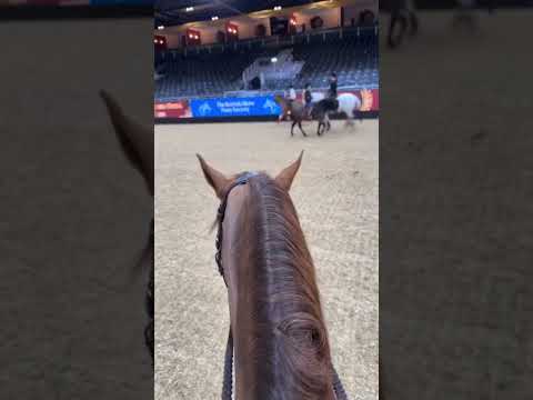 Riding at LIHS Excel London ????✨