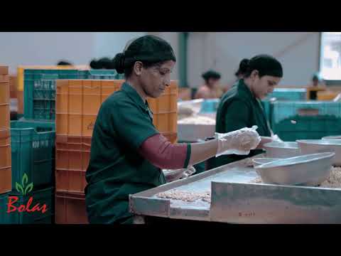 Bolas Agro Private Limited, Karkala - Manufacturer of Dry Fruits and ...