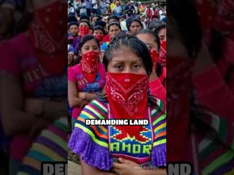 The Zapatista Uprising Unveiled
