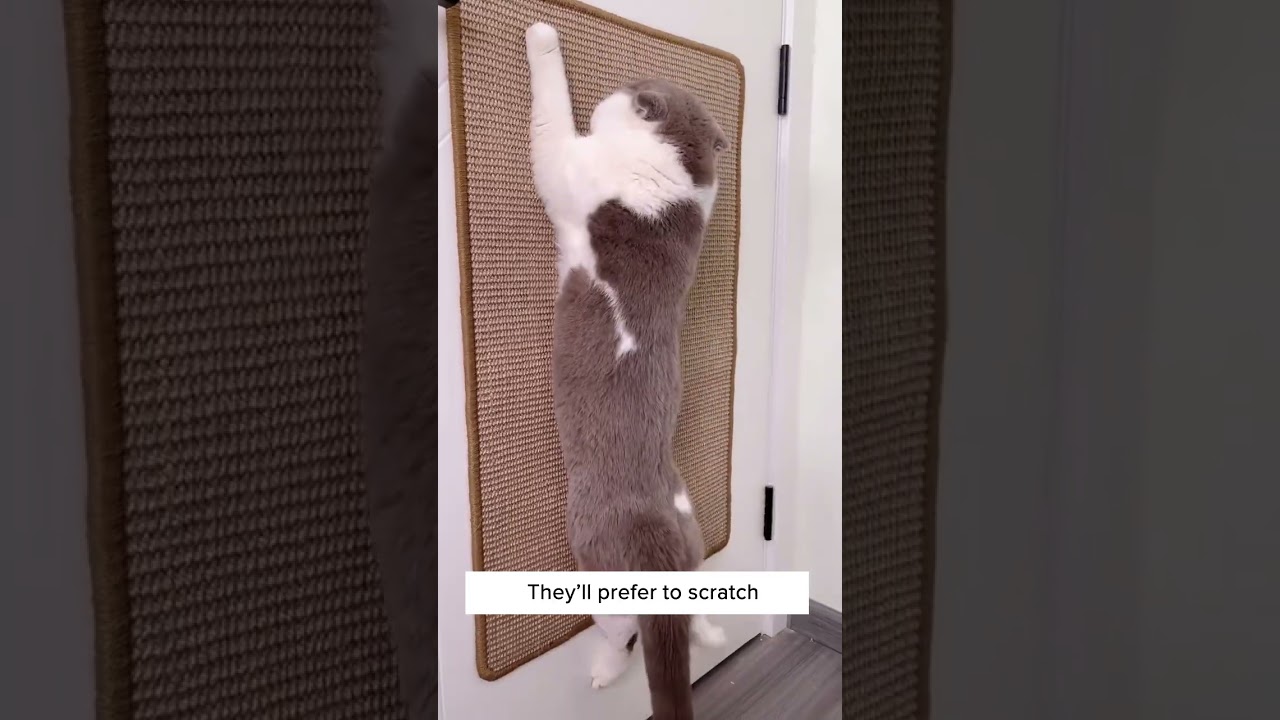 Mat Scratcher That Trims Cats Nails?? 😱