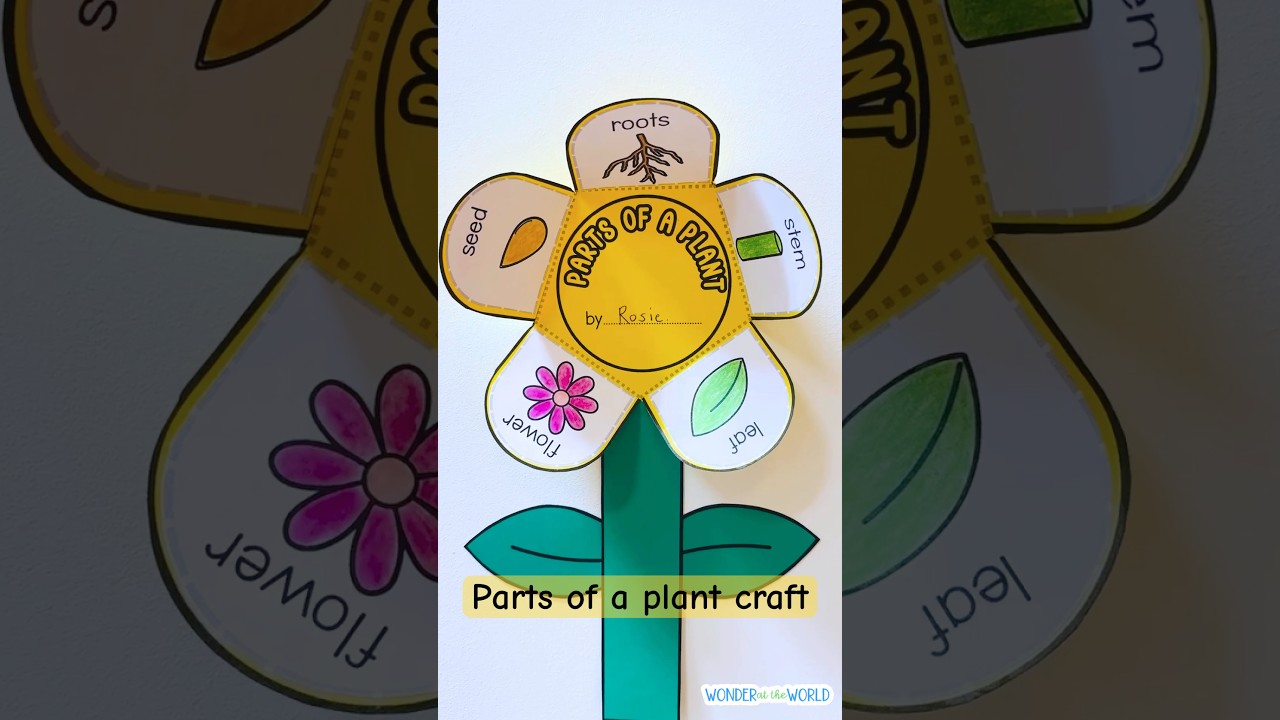 Parts of a plant flower craft - fun alternative to a science worksheet for Kindergarten First Grade