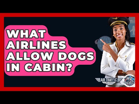 What Airlines Allow Dogs In Cabin? - Air Traffic Insider