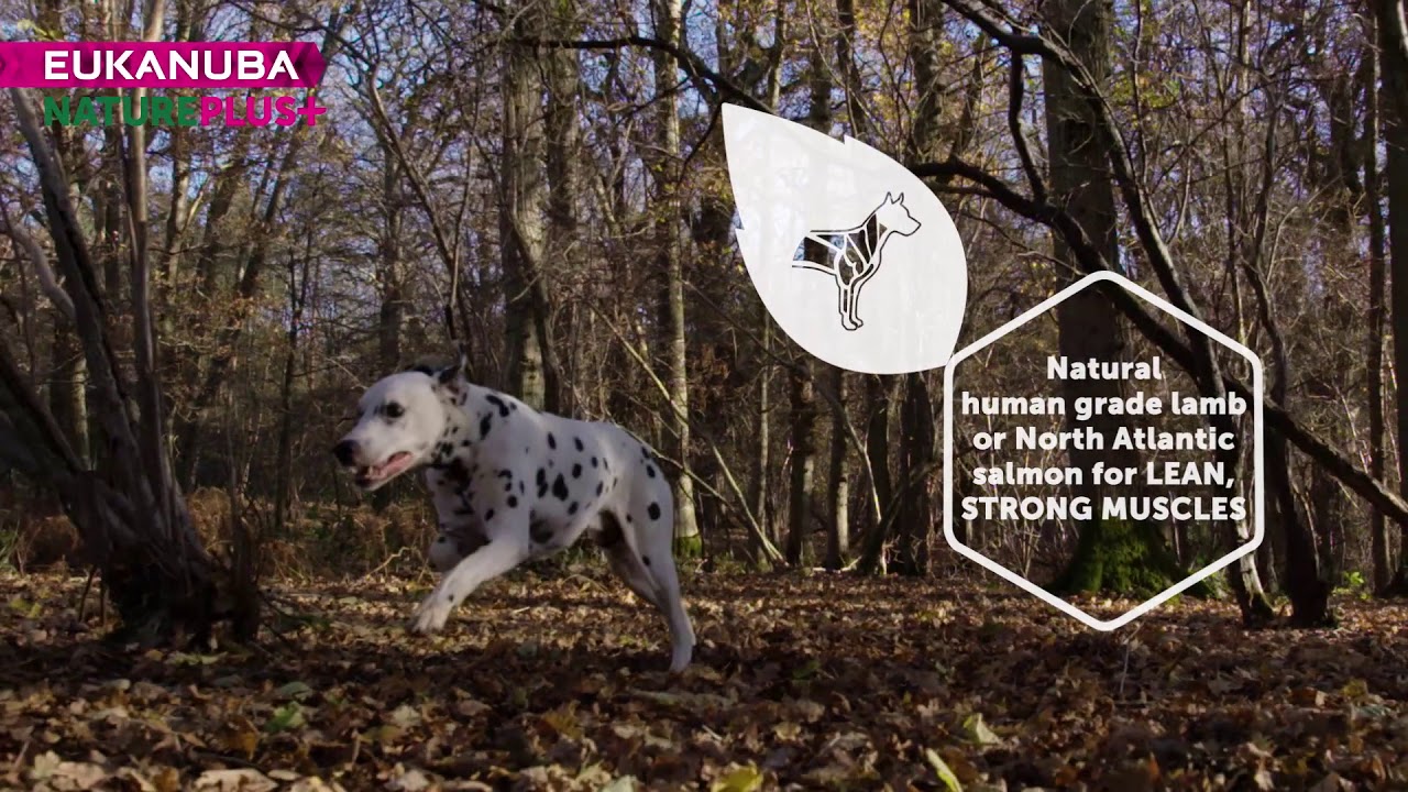 EUKANUBA NaturePlus+ Grain Free