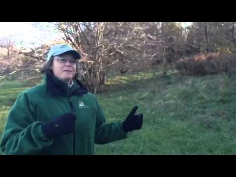 Clearview Landfill