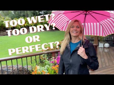 Big Island Hawaii Real Estate | What's the Weather Really Like in Waimea