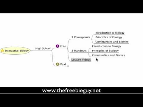 How to use Mind Mapping Software to plan Online Business