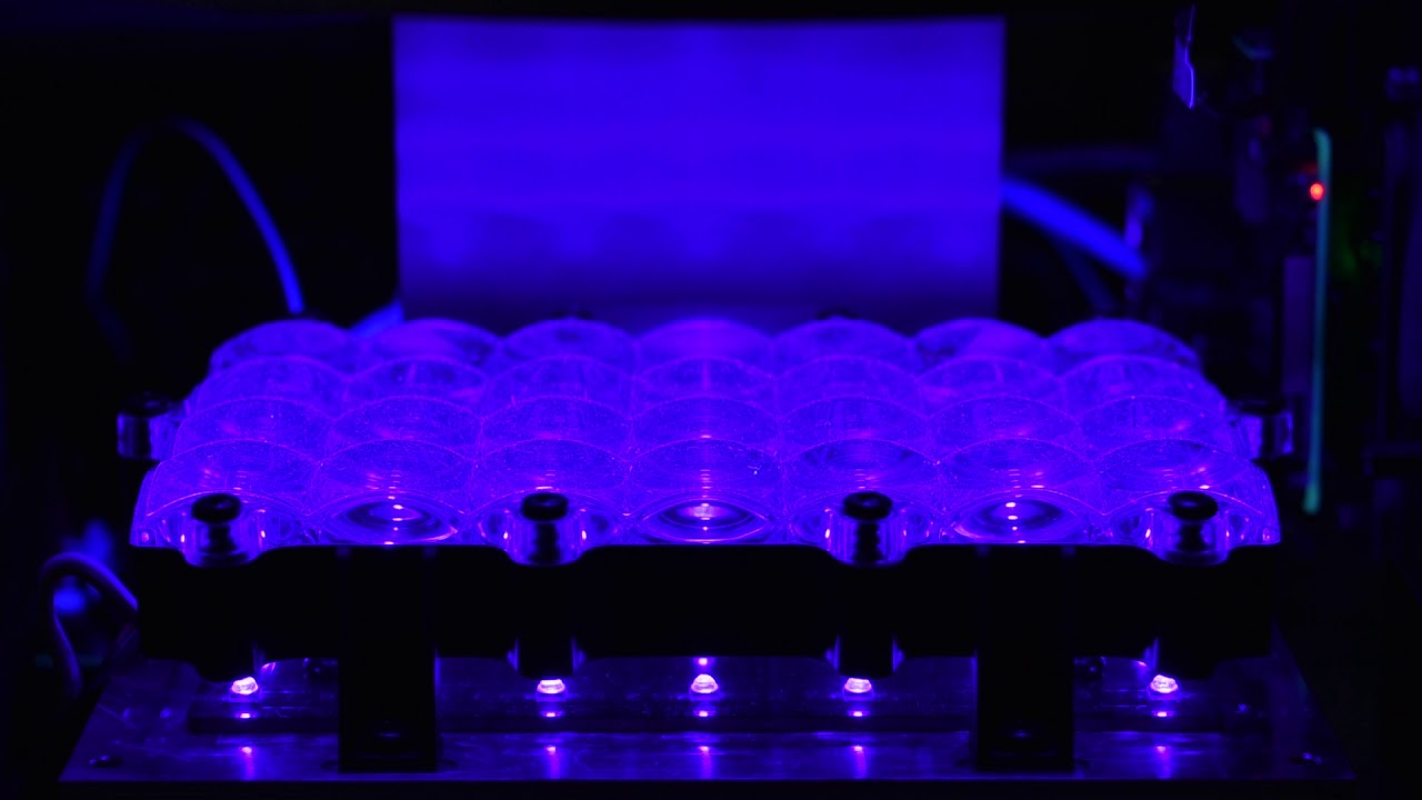 Impresora 3D Dental Microlay Eve® PRO (NOVEDAD!) – Microlay