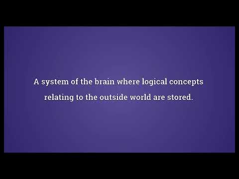 Semantic memory Meaning