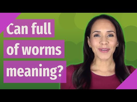 Can full of worms meaning?