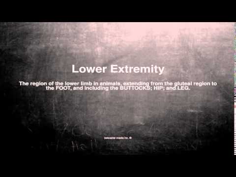 Medical vocabulary: What does Lower Extremity mean