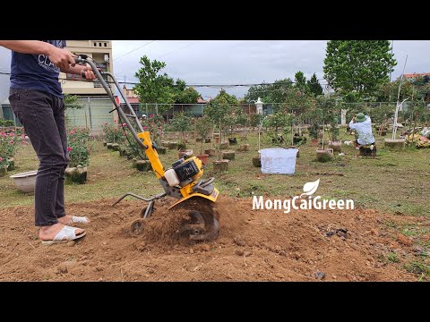 Xử dụng máy xới đất mini Mitsubishi TL33 để trộn đất trồng hoa tại MongCaiGreen Garden