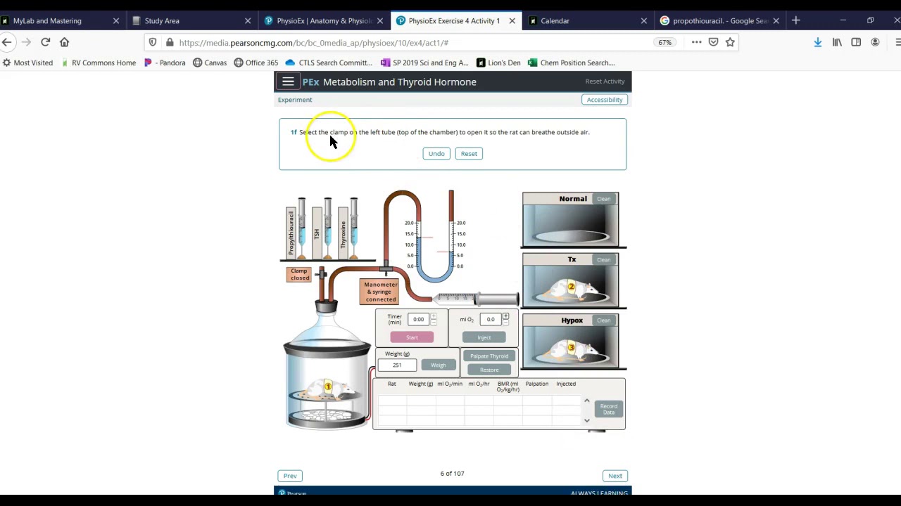 Endocrine Physio Ex explainer