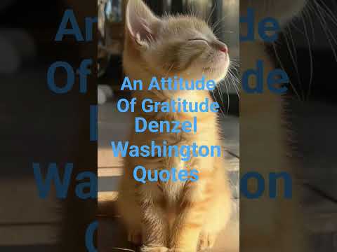 An Attitude Of Gratitude, Denzel Washington Quotes #motivation #inspiration #denzelwashington