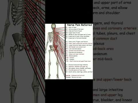 About spinal cord and nerve as work ⚕️👌💊💊✍️😀