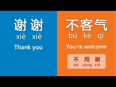 Gratitude & Apology in Chinese # Day 29 Thank You, You're Welcome, Sorry in Chinese