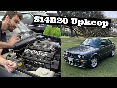 Maintaining a Legendary DTM Race Engine At Home - BMW S14 320is E30