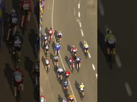The New King Of The Sprints?!
