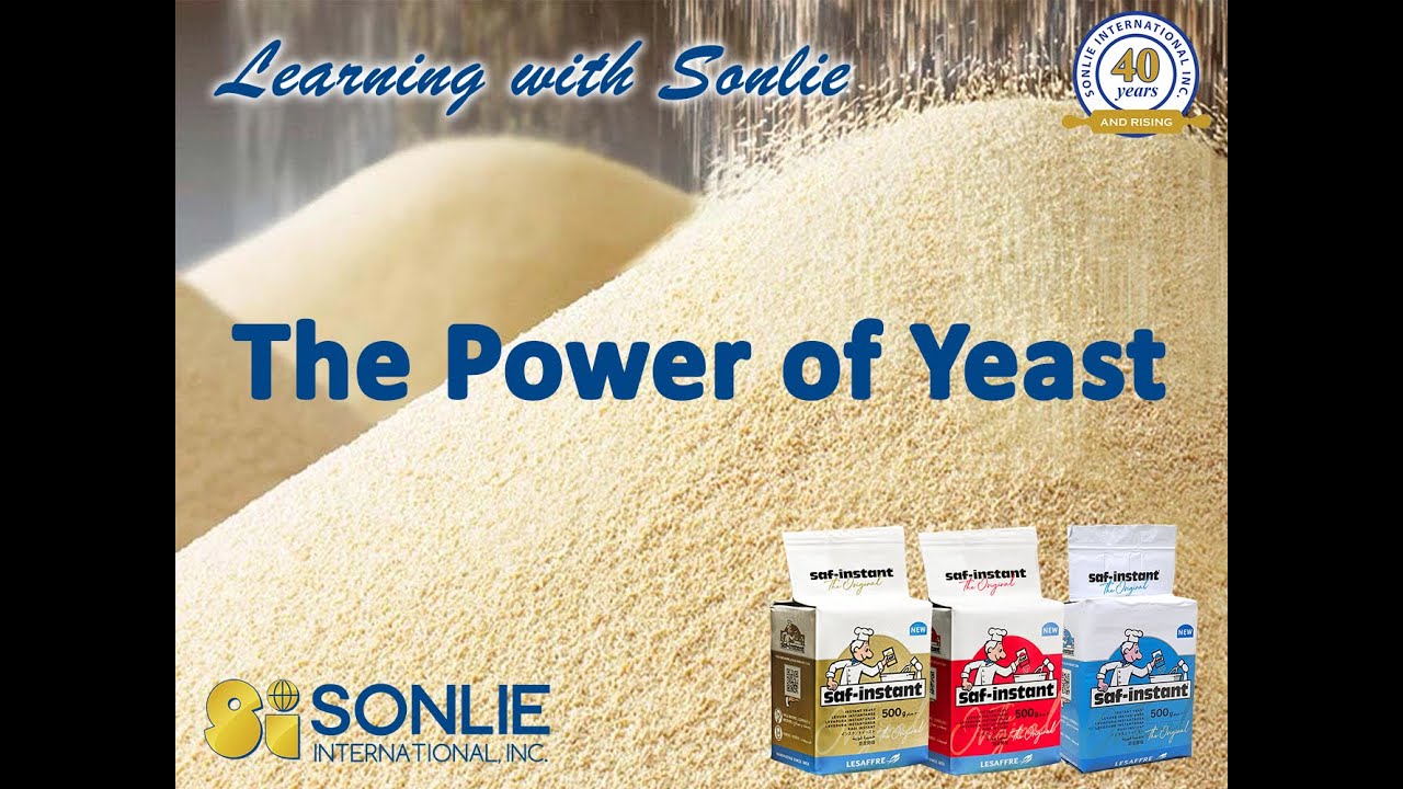 The Power of Yeast