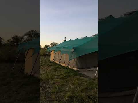 Golden hour at Kimbilio Serengeti Camps 🌿