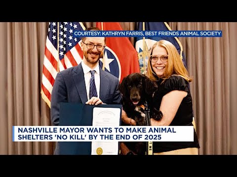 Nashville, TN mayor wants to make all area animal shelters 'no kill' by the end of 2025