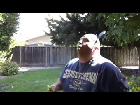 Steam Community :: Video :: WASABI?